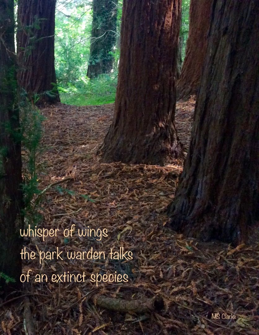 Conversation 11: WRITING HAIKU: HAIGA - Where Image and Haiku Meet ...